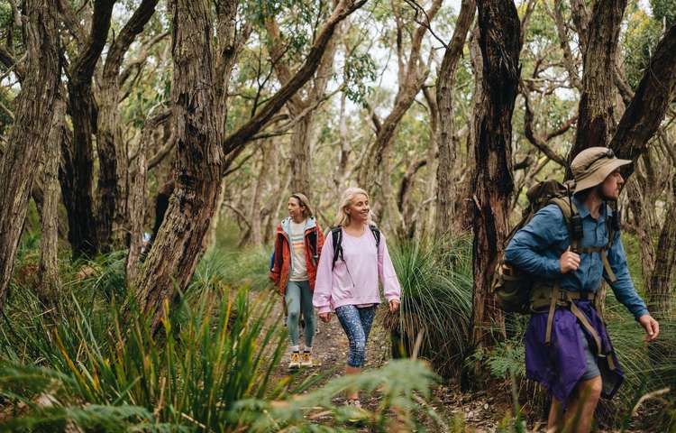 Great Ocean Road Long Weekend - 3-day Guided Walk