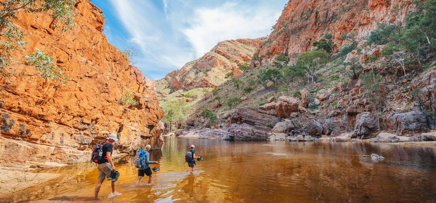 Larapinta Signature Walk - Six Day Guided Walk