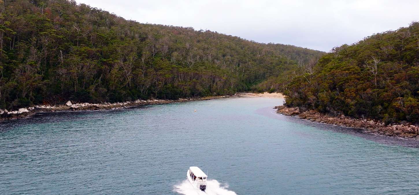 Three Capes Adventure Walk - Walk to all Three Capes