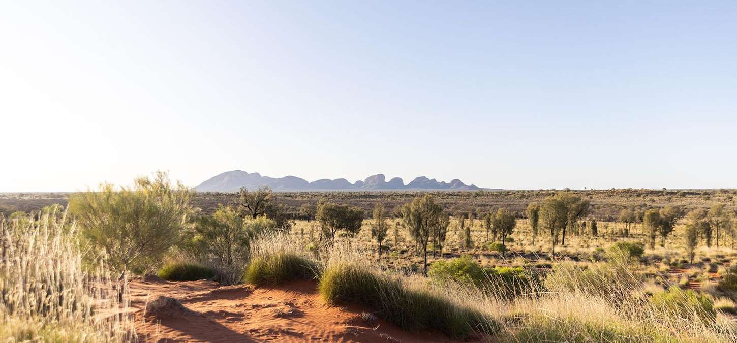 Uluṟu-Kaṯa Tjuṯa Signature Walk - Guided 5-day Walk