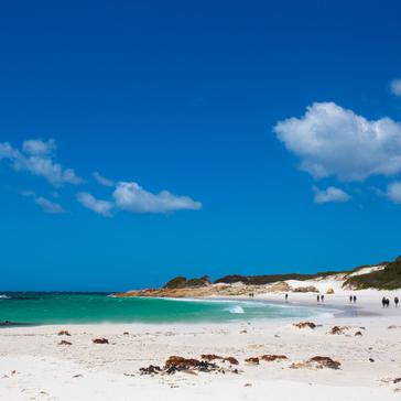 Walk review from Pip Nicholson, Bay of Fires / East Coast Tasmania