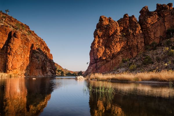 Discover our Larapinta & Alice Springs Walks