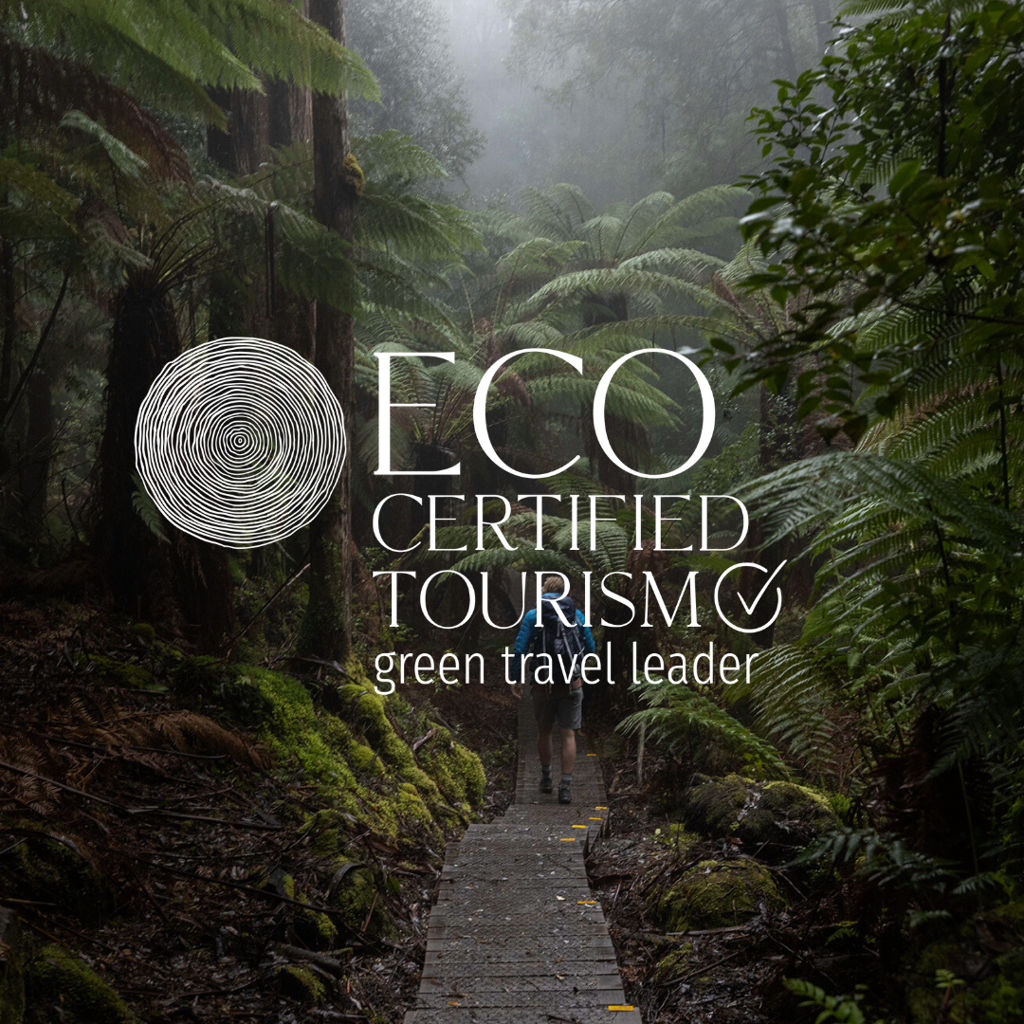 Celebrating 10 years of ECO certification